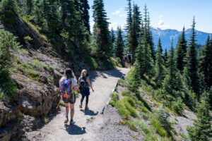 Hurricane Ridge | Best of Olympic National Park in 2025